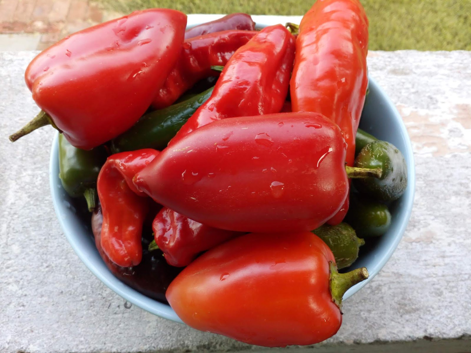 Are Shepherd Peppers Spicy