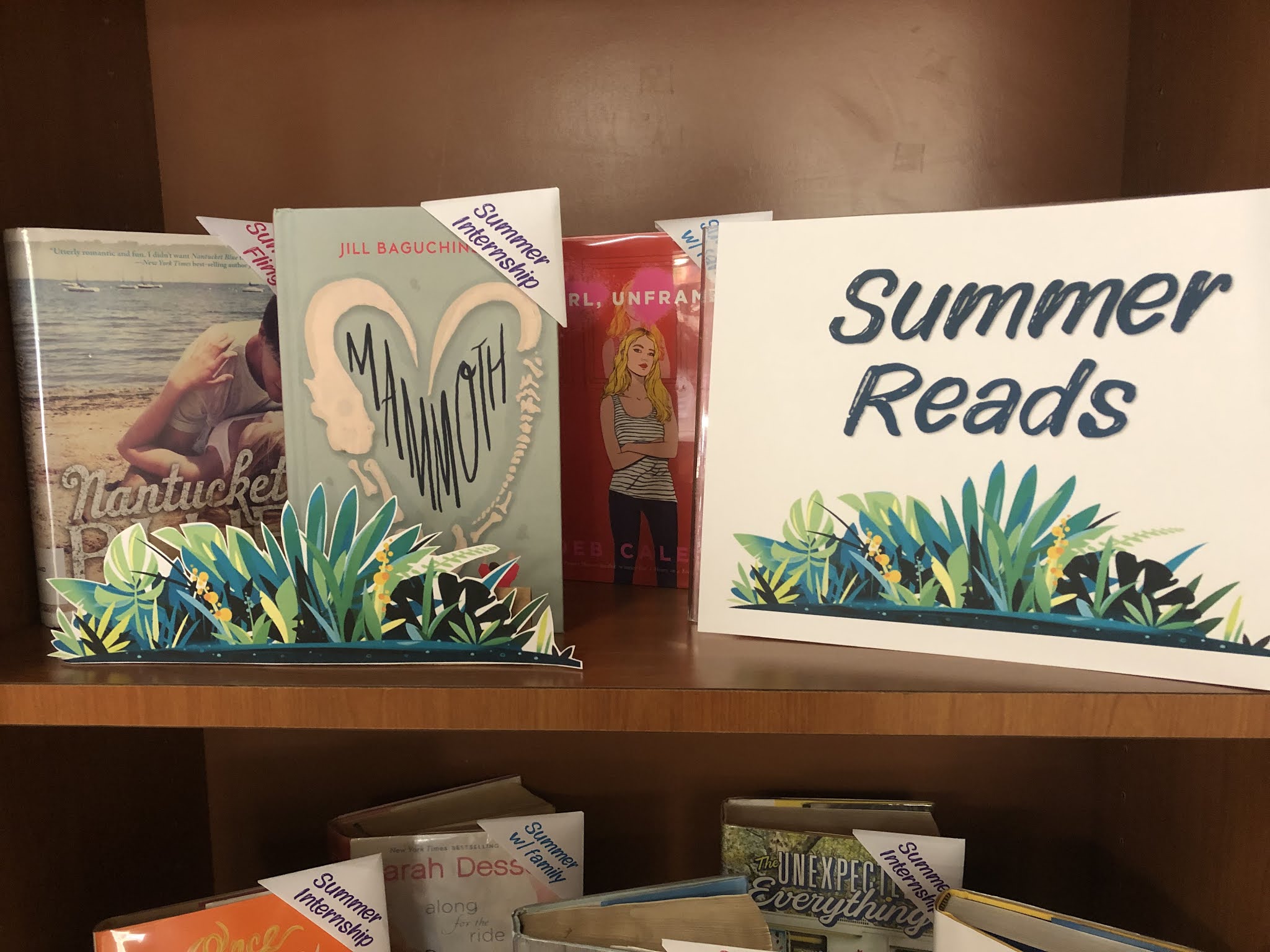 Summer Reading Teen Book Display - The Learning Curve