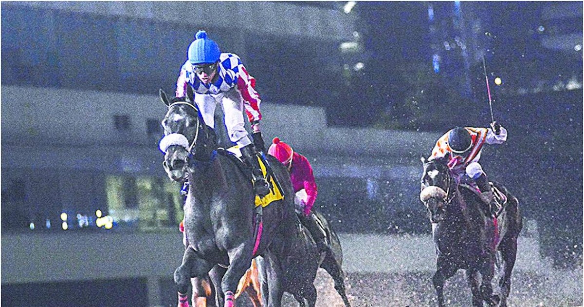 Rumbo a la Meta: El Santo, un ejemplar que será una incógnita en el ...