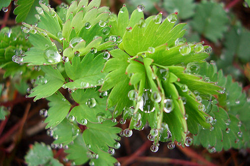 The Presurfer: May 2013