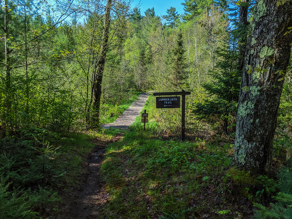 Hiking the Escanaba Lake Trail in Vilas County
