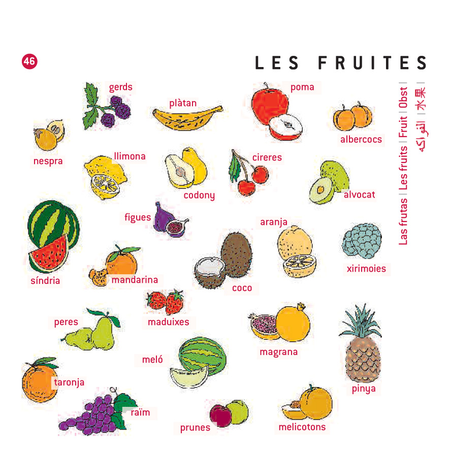 Recursos de la llengua: Les fruites: Clica, memoritza i guanya