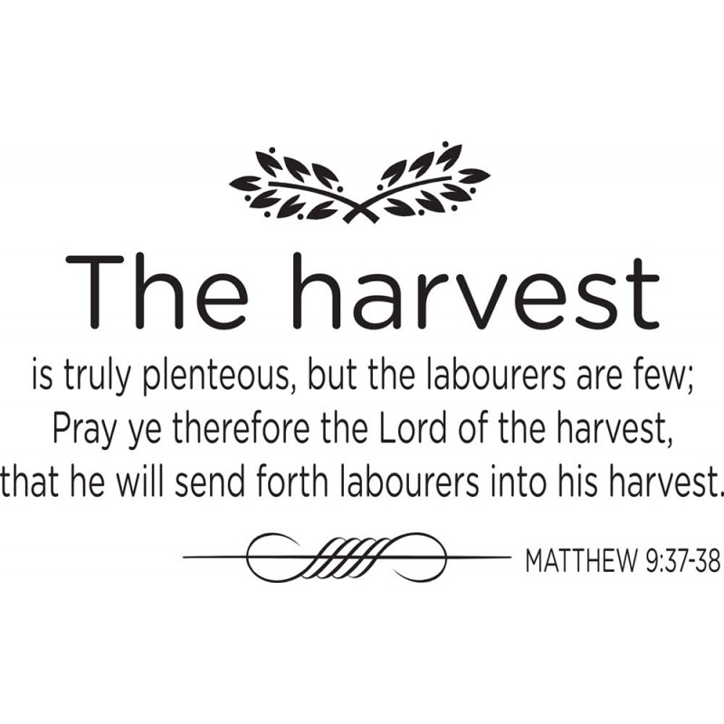 A TearDrop.: Let's get to work.