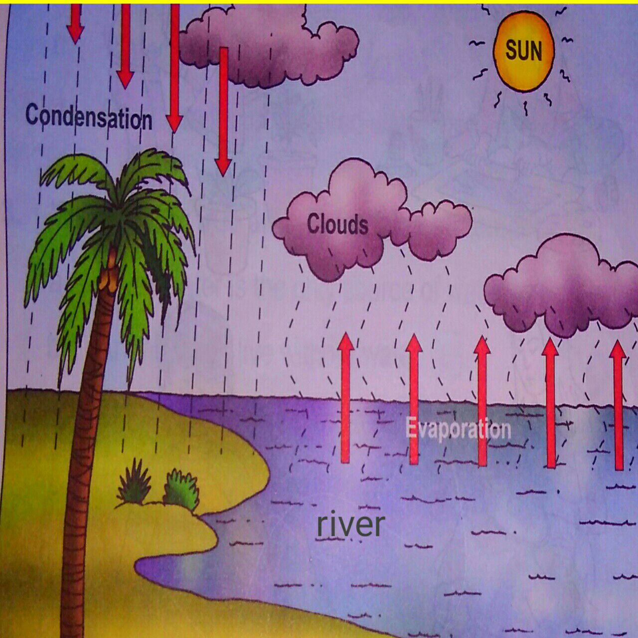 SCIENCEMENIA WATER CYCLE sciencemenia-water-cycle