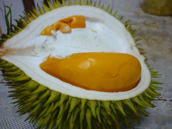 PEZOL STYLEZ: AKU PEMINAT TEGAR DURIAN KUNING
