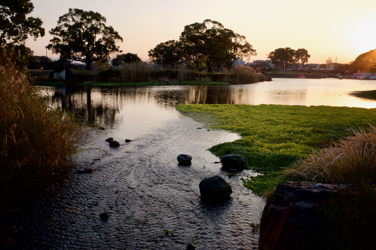 OISHII!: Evening of Mid December