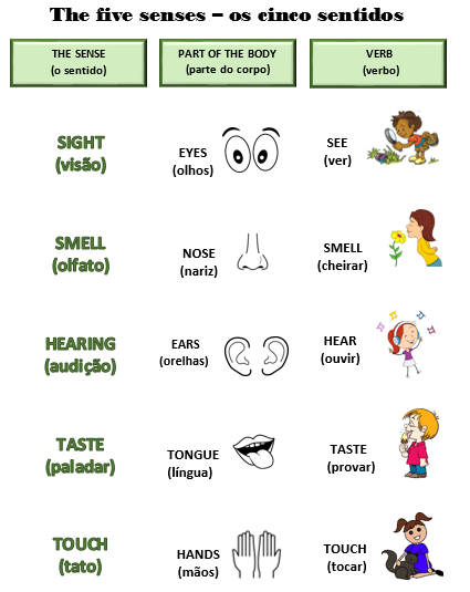 Practice makes perfect: The five senses (4º ano)