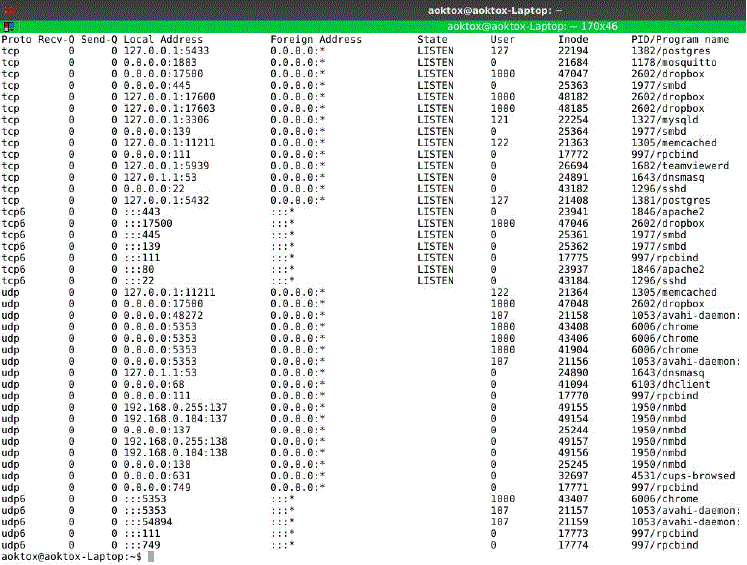 Maksud perintah dan output dari netstat – tuplen ~ Network Security