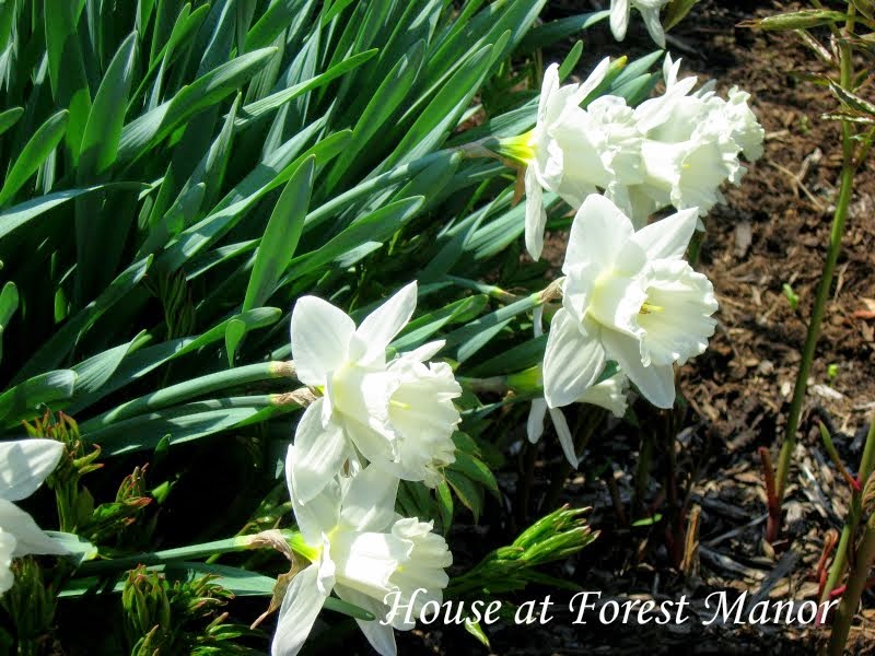 House at Forest Manor: Springtime in Reynolda Gardens