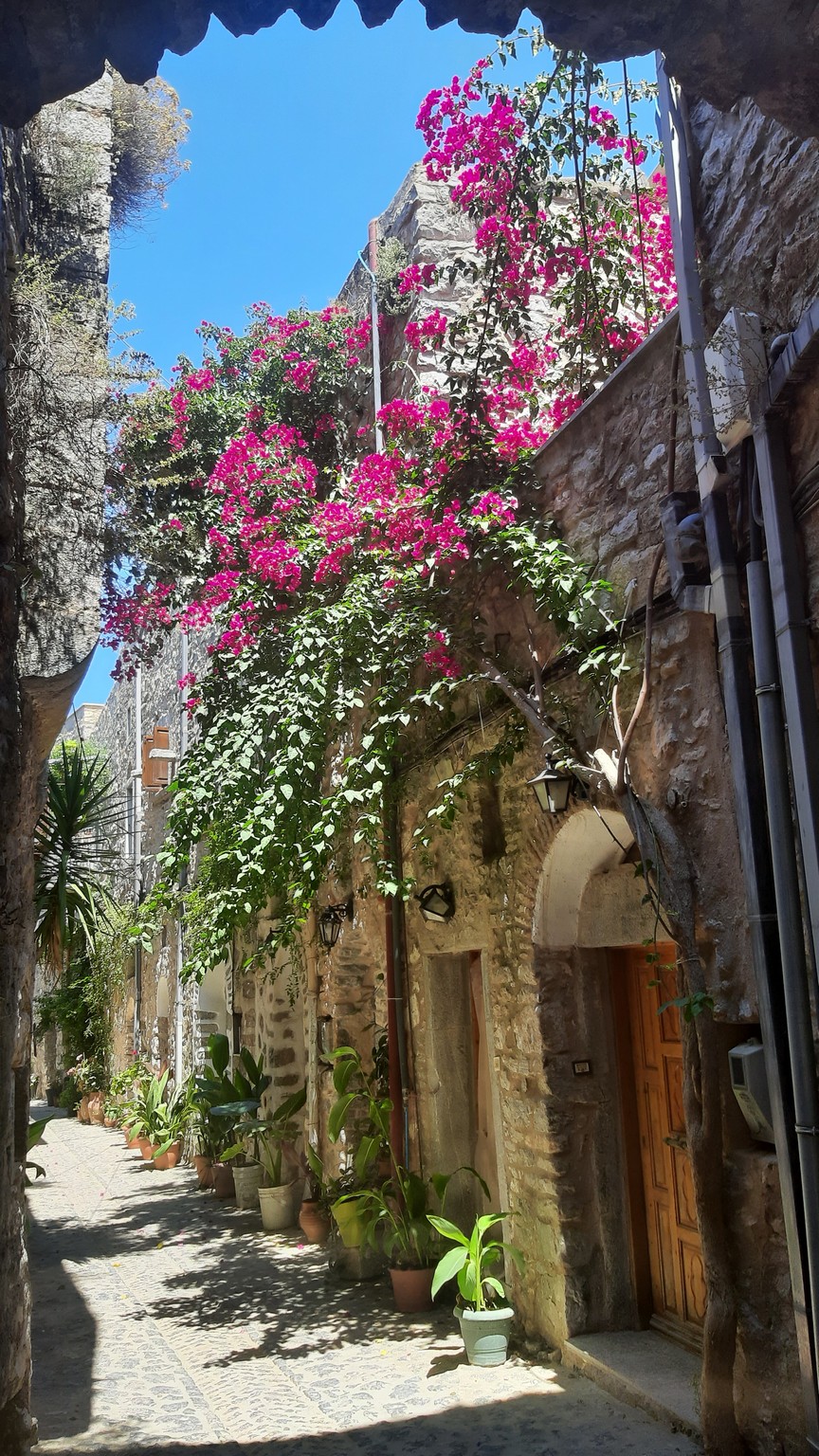 foltról foltra...: Mastichochoria