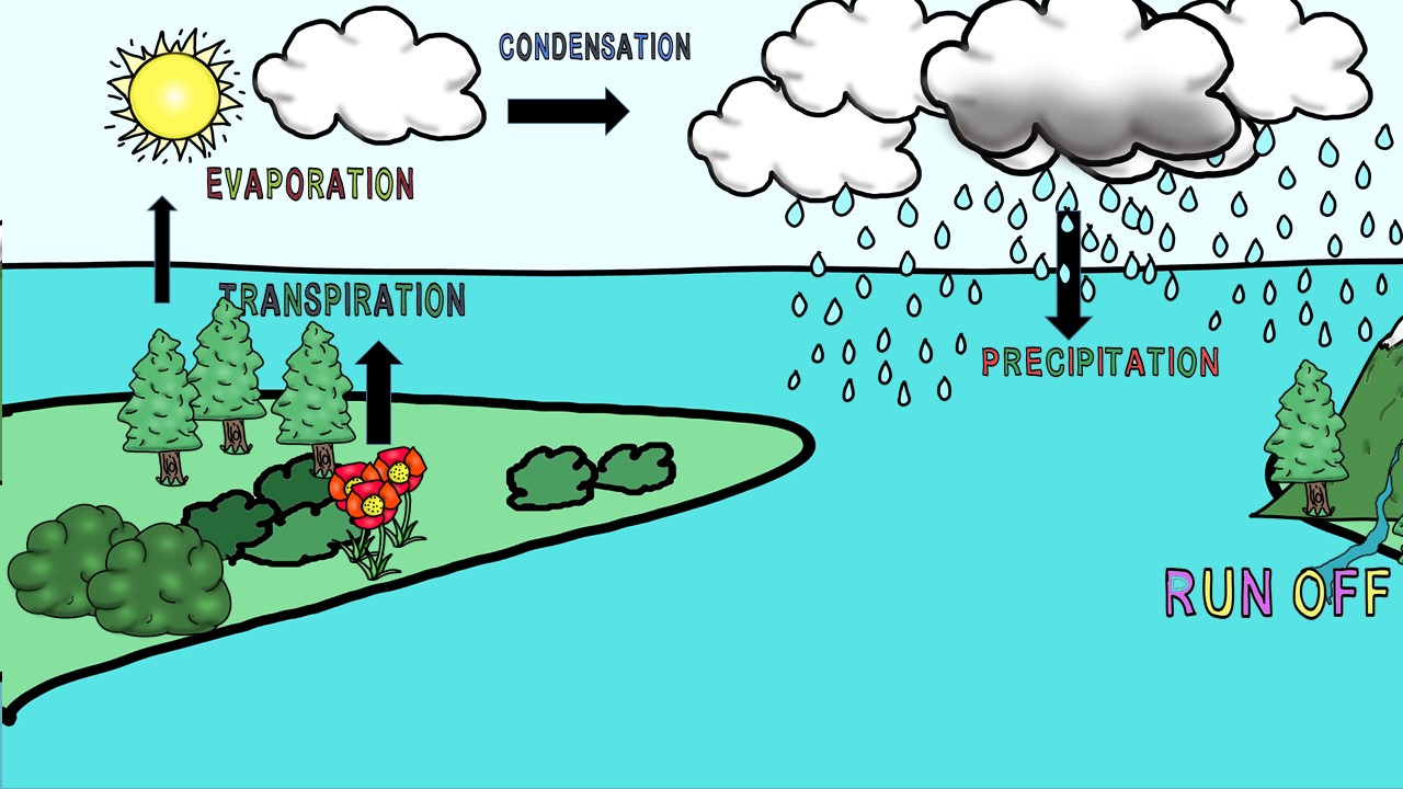 Fun Creatives Facts About The Water Cycle fun-creatives-facts-about-the-water-cycle