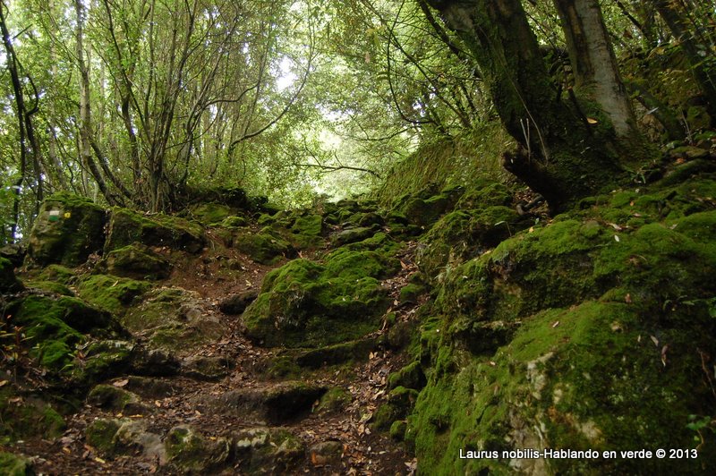 Hablando en verde: septiembre 2013