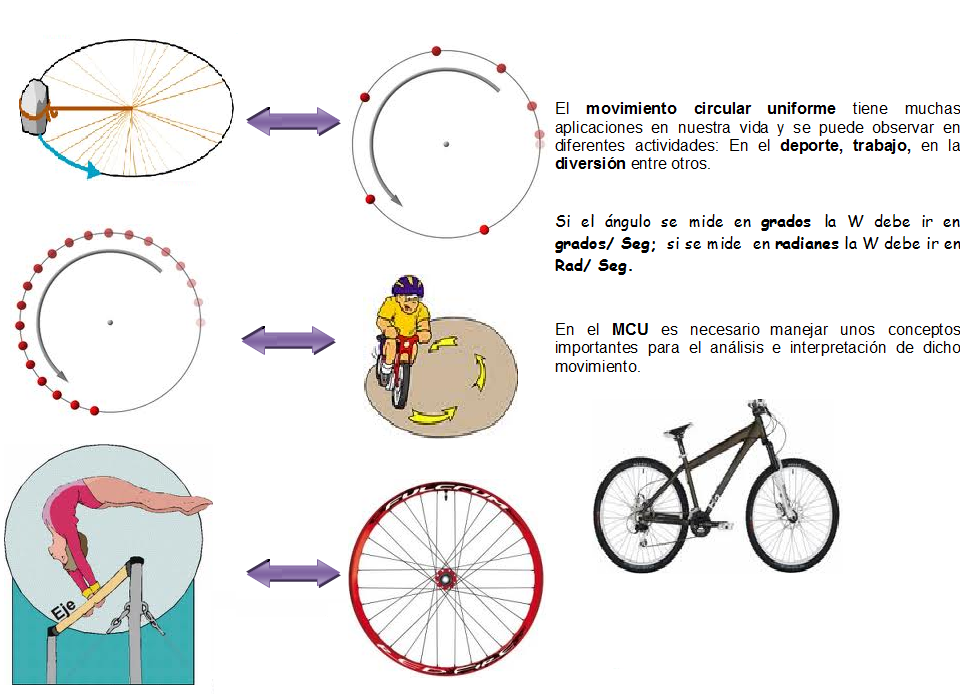Cinemática de los cuerpos: Movimiento circular