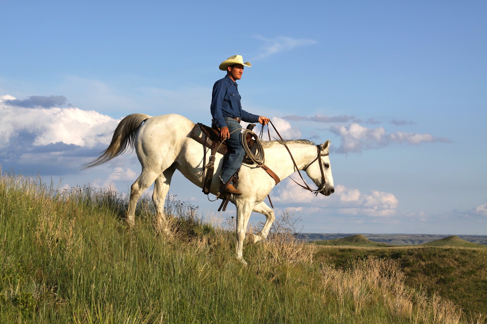 John Lopez Studio: Hybrid Metal Art