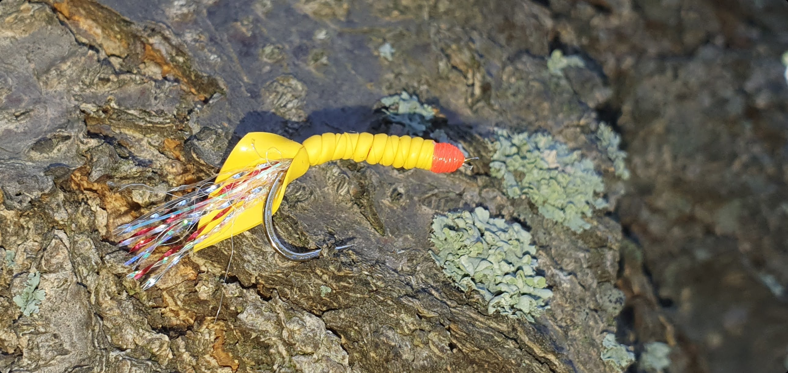 Pescuit cu musca artificiala: Taparine SABIKI SCRUMBIE