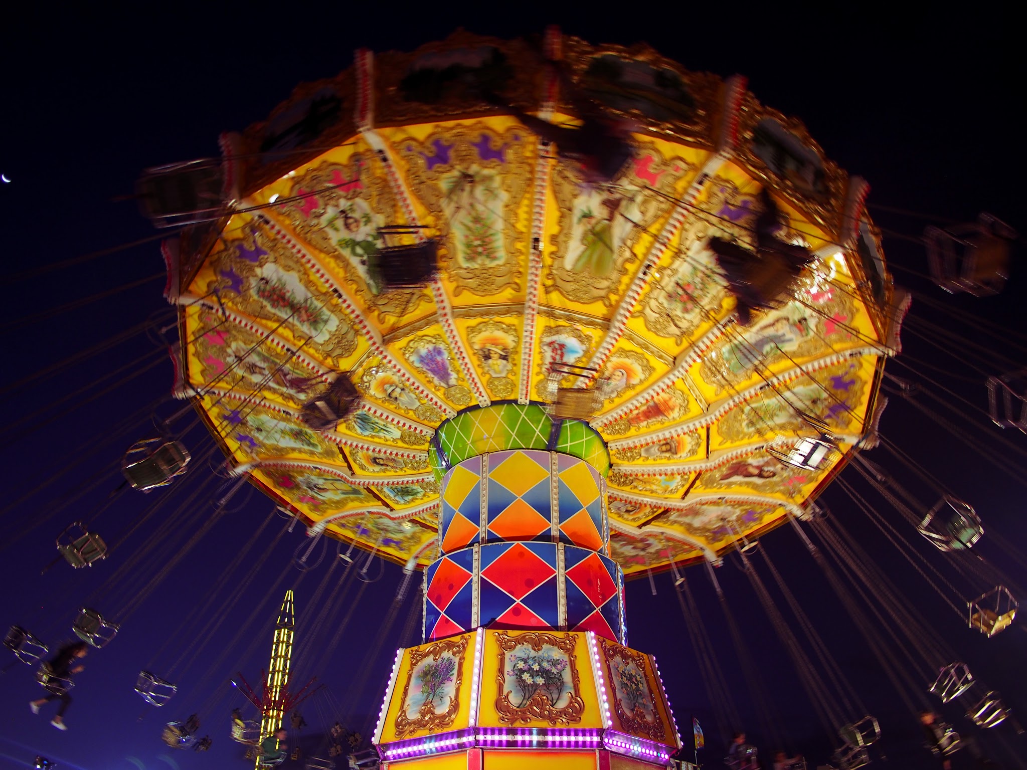 Floral, Carnival and the Perth Royal Show - Finding Femme