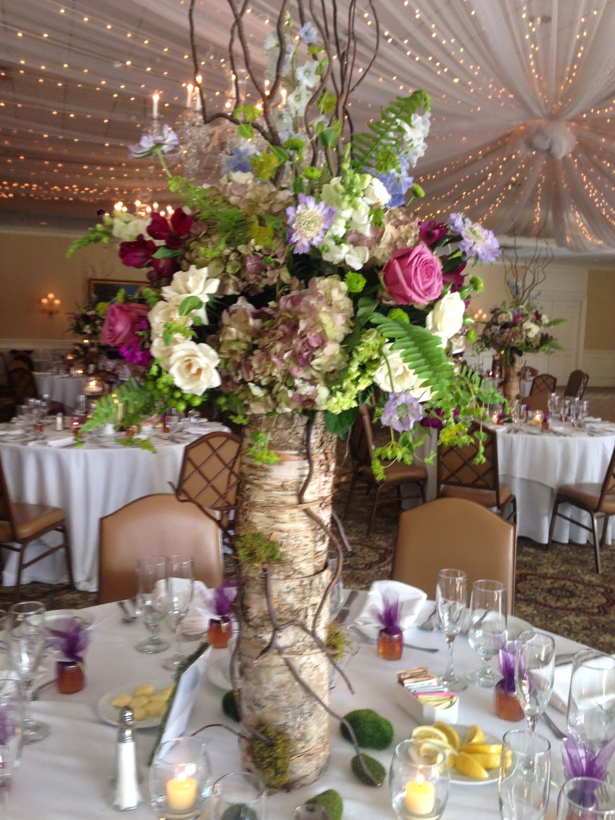 Wonderful Events & Celebrations