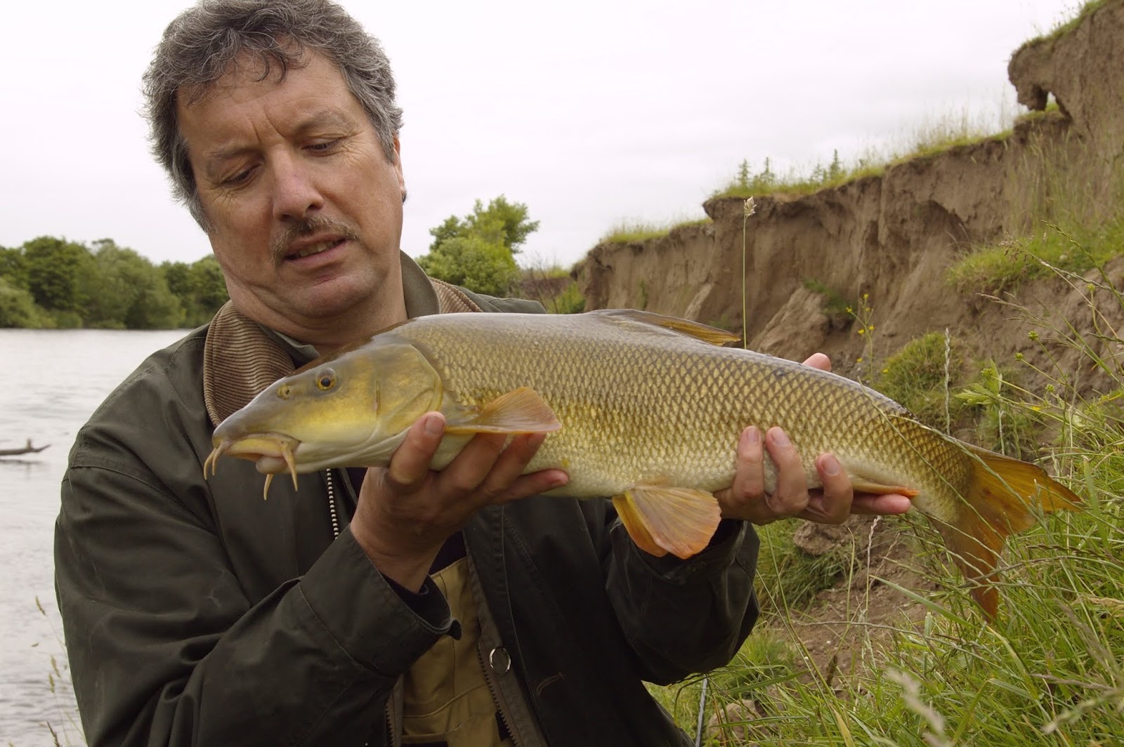 From the banks of the Wye: 2019