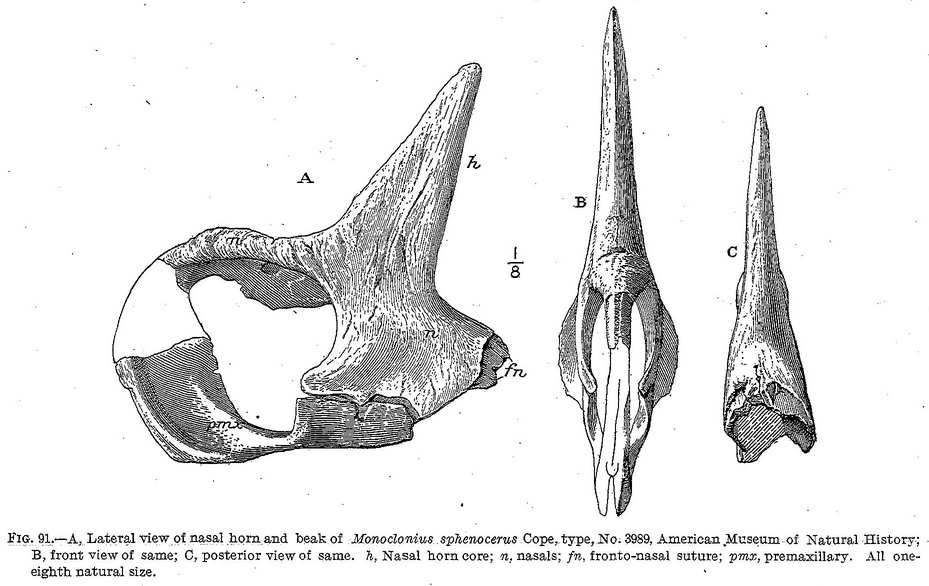 Equatorial Minnesota: The secret identity of "Agathaumas"