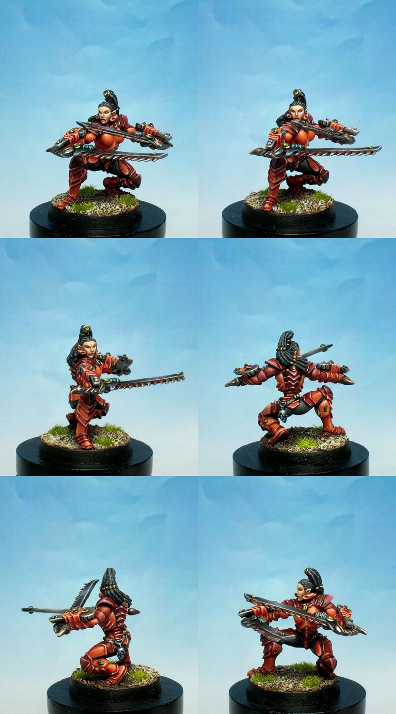 Battle Suits: Female Space Elf Ninja Painted by Angel Giraldez