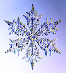 Heraldry of Life: ART with REAL SNOWFLAKES