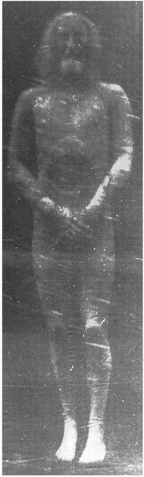 The Shroud of Turin: Medieval photography: Nicholas Allen