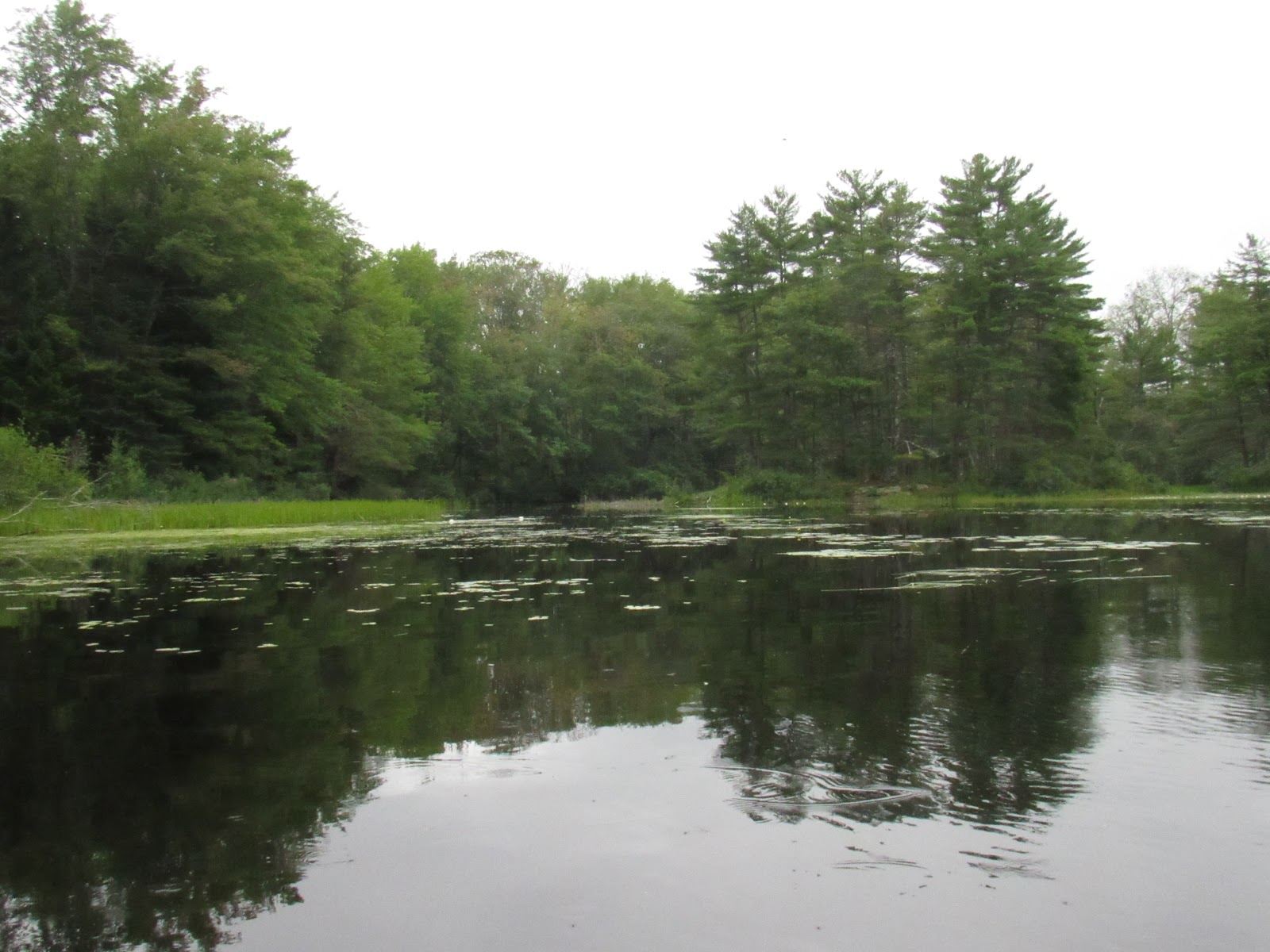 Recreational Kayaking in Maine: Pitcher Pond, Lincolnville