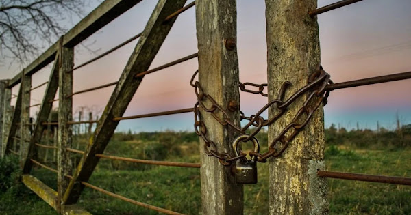 Un millon de hectareas en TDF para terratenientes | Cronicas Fueguinas