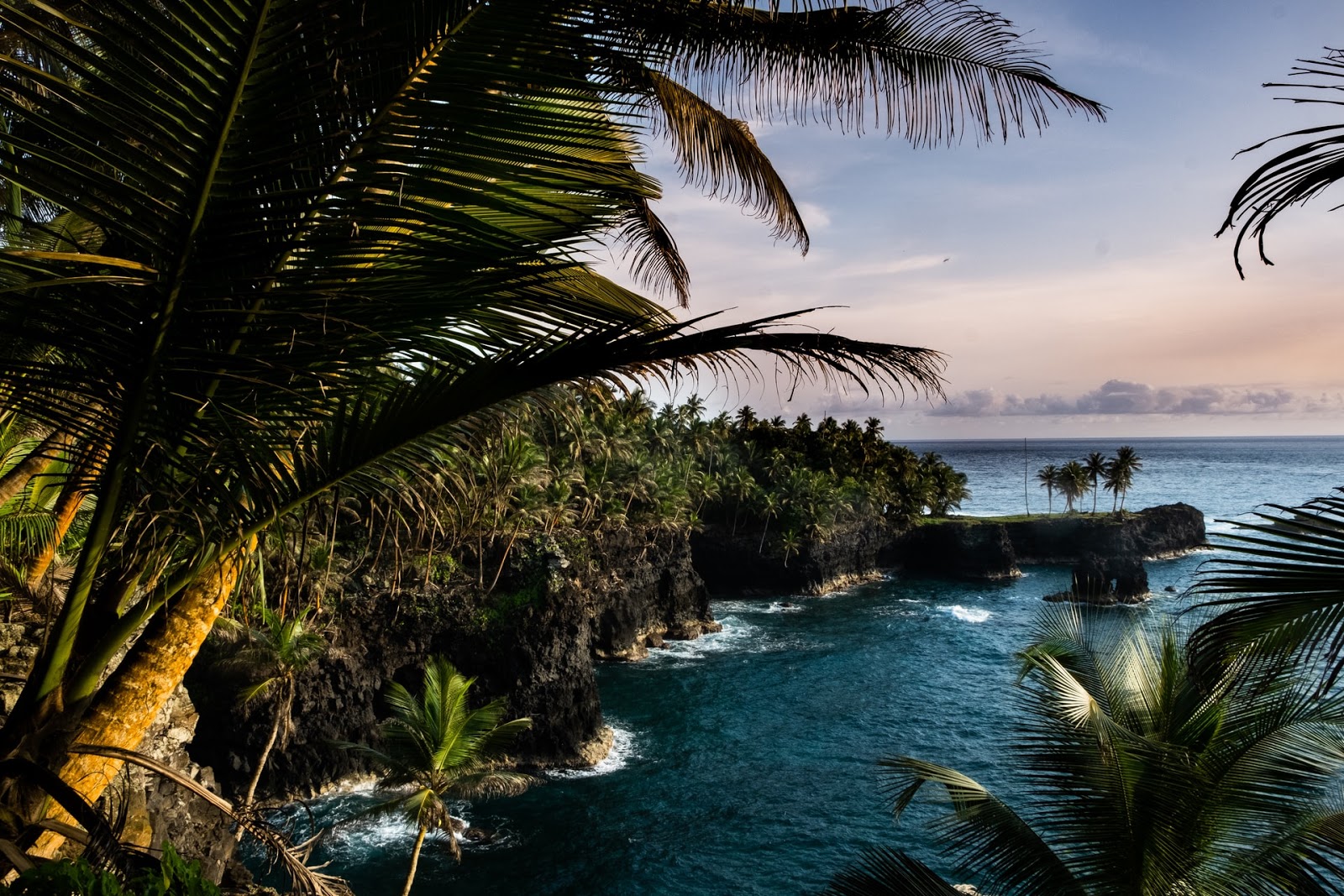 TROPICAL ZOOM BACKGROUND FREE - SERIES 1