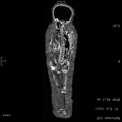 Oh, by the way...: BEAUTY: Art--Angela Palmer