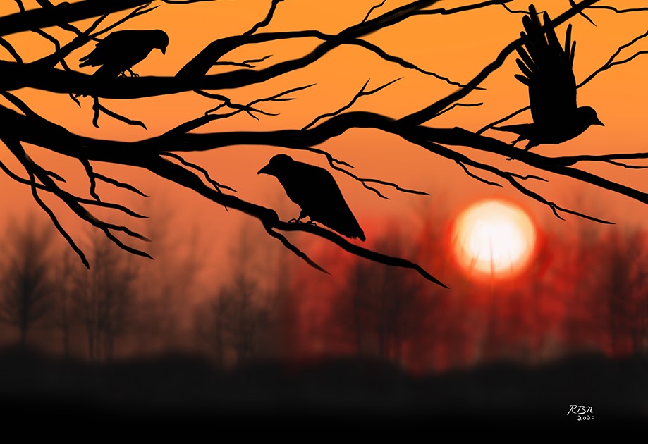 Tree Sunset and Crows