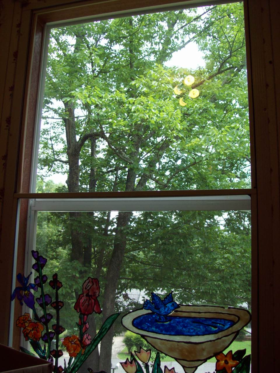 Mamawjs Moment Away: As Seen On #TV Product #Review & USA #Giveaway # ...