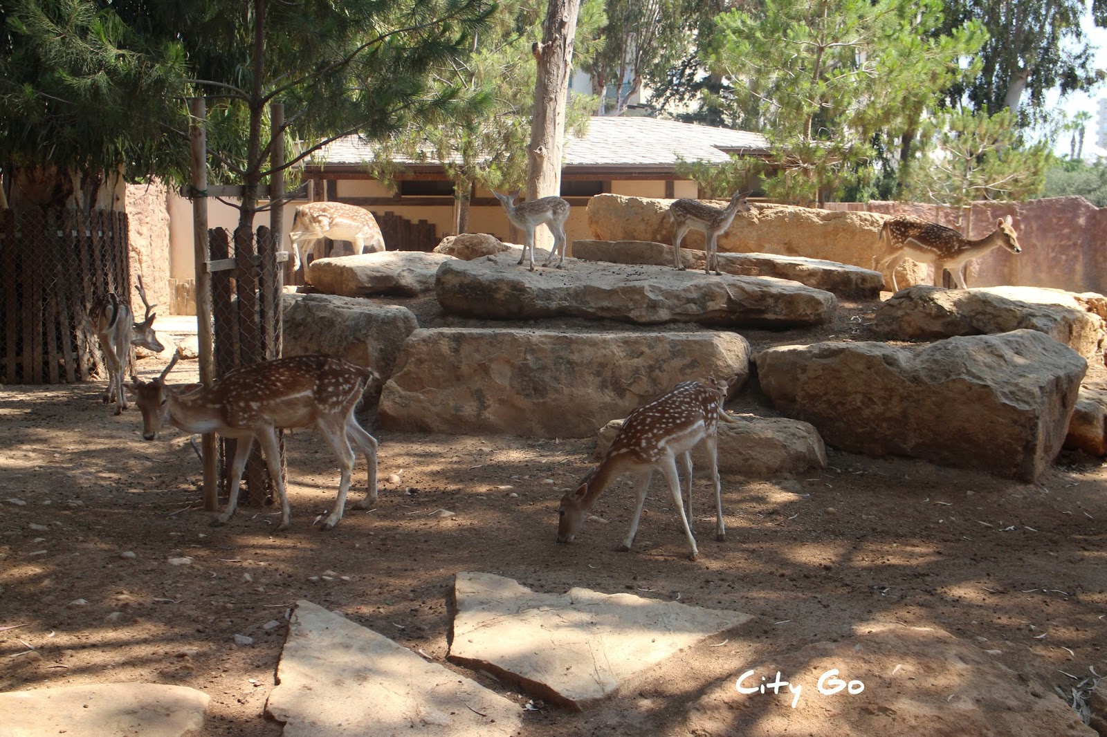 Limassol Zoo, Cyprus