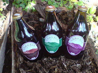 Turismo Vilches: Cerveza Volcán Descabezado