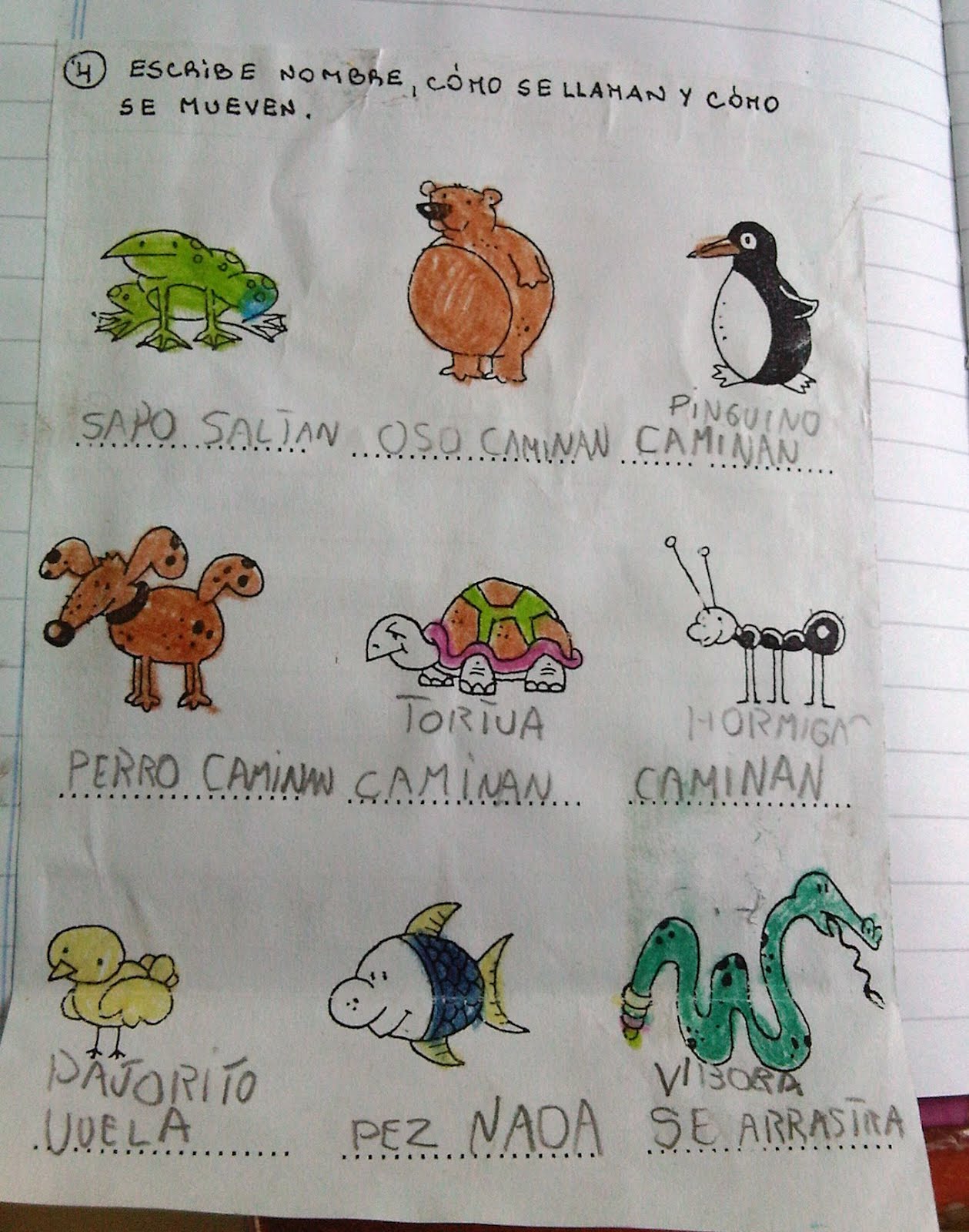 Blog de 2 C primaria ECEA Lanús: ¿ Cómo se mueven los animales ...