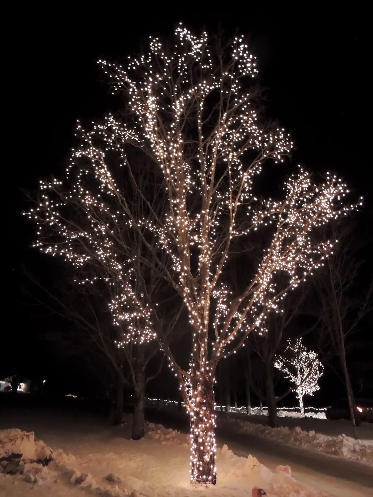 Elder and Sister Dyches Called to Serve Joseph Smith Birthplace Memorial