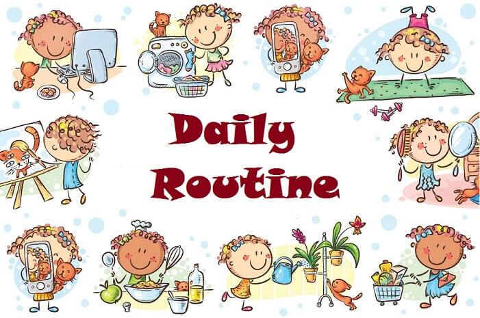 Daily Routine