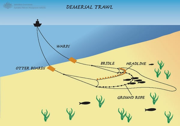 Swims With Seals: March 2014