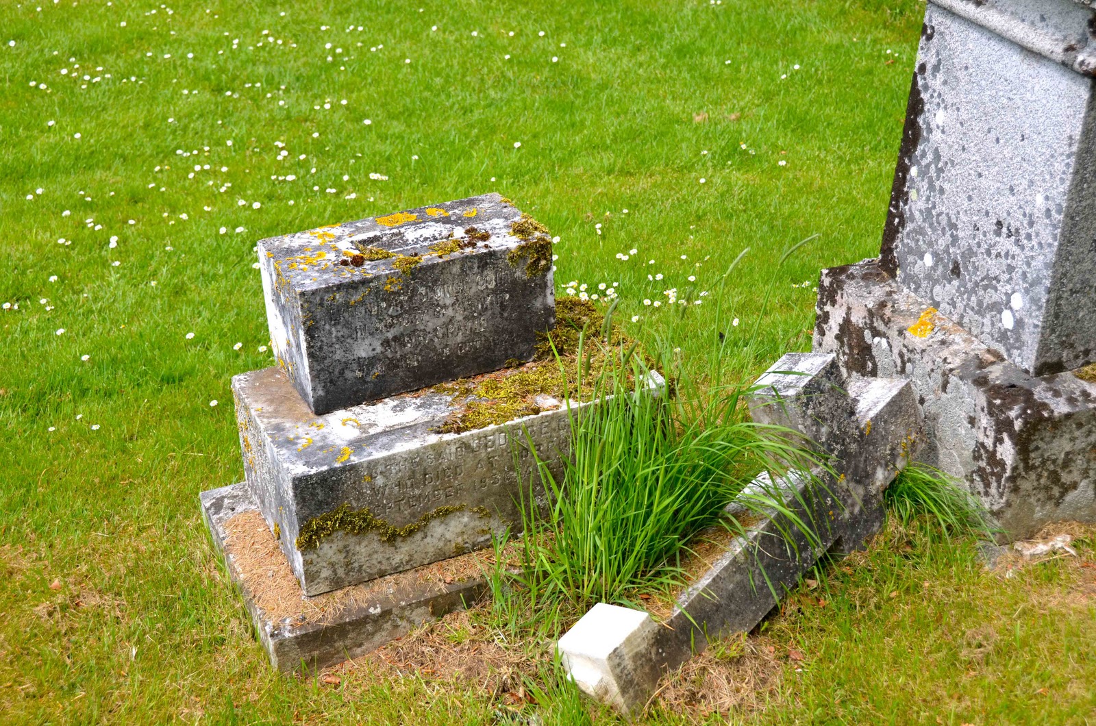 Have Pen and Camera, Will Travel: November 2011