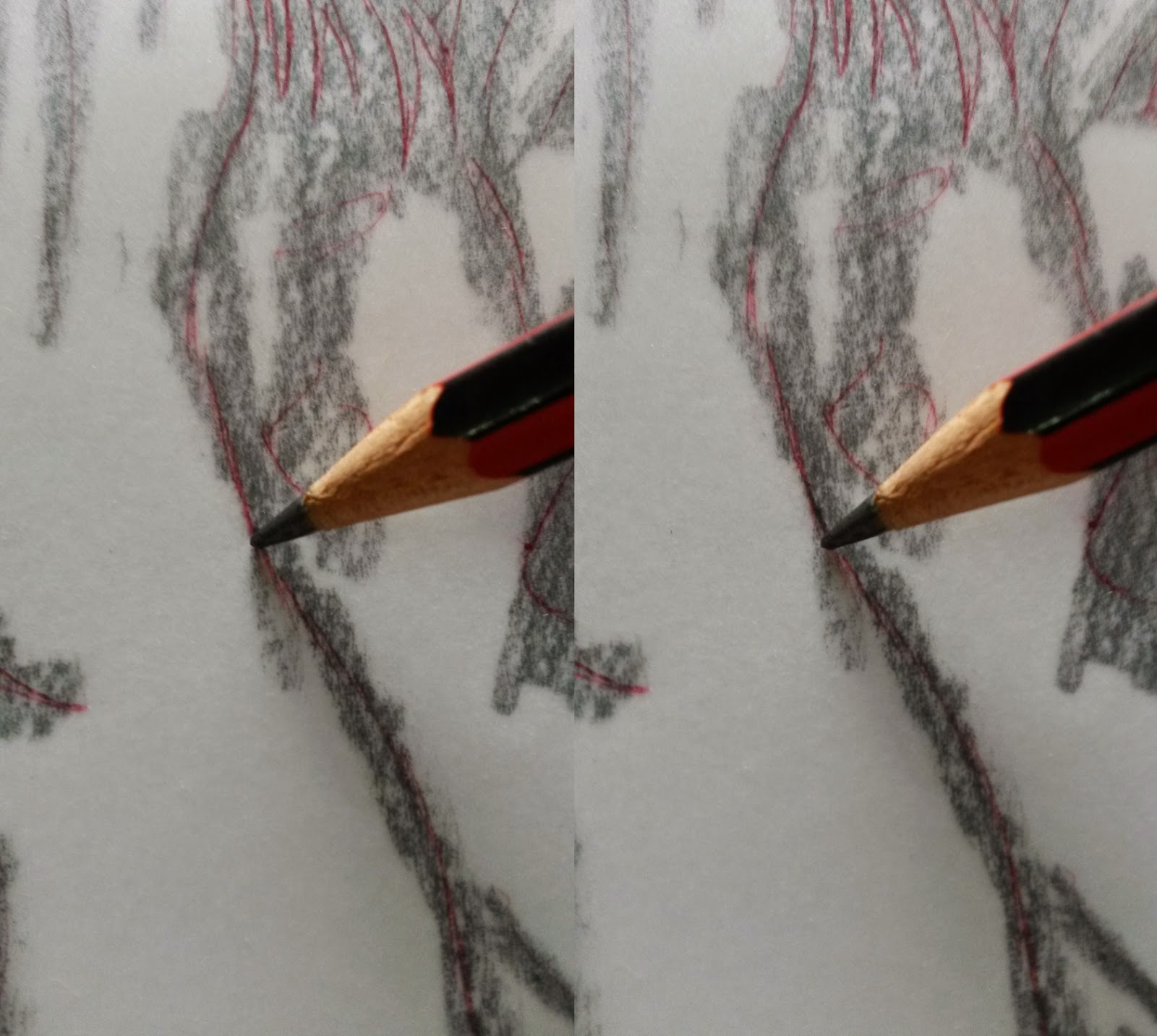 Tutorial técnica para calcar una imagen