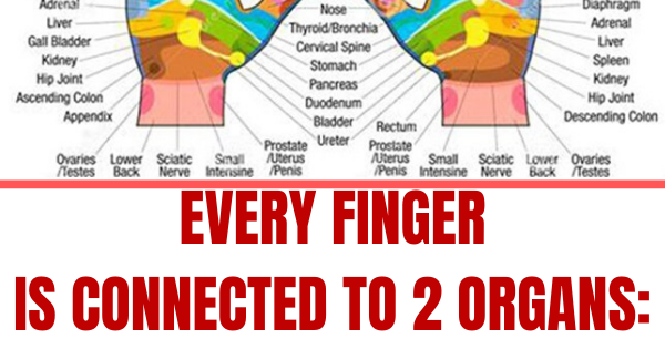 Every Finger Is Connected to 2 Organs: Japanese Methods Of Curing in 5 ...