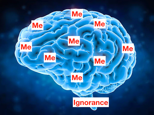 The Science Of The Brain / Colleen Breen