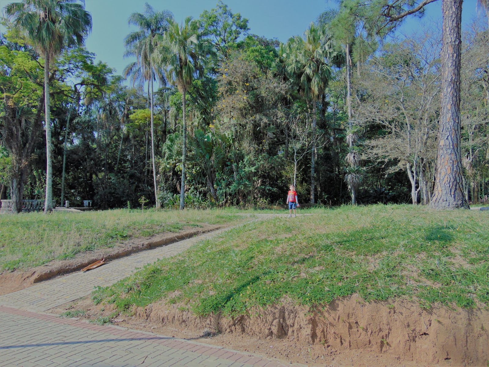 Parque da Cidade - Pindamonhangaba - SP