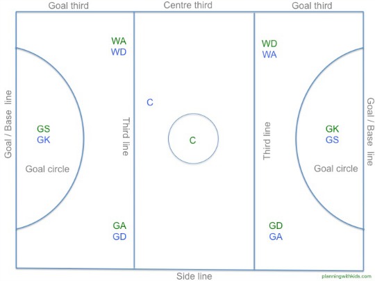 What are the optimal biomechanics of the netball goal shot?