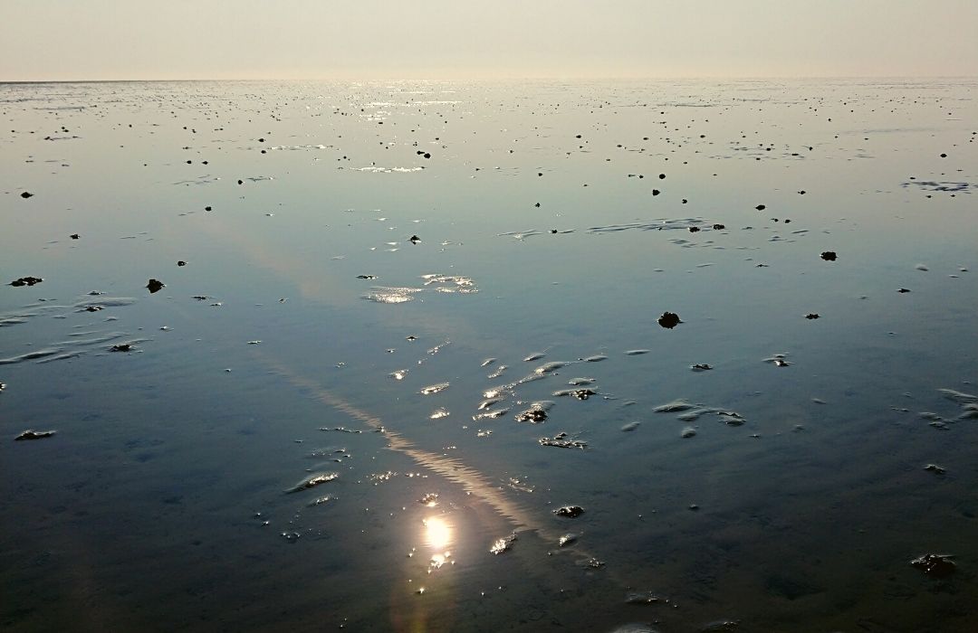 Urlaub an der Nordseeküste! Tipps rund um Cuxhaven, Duhnen, Döse und ...