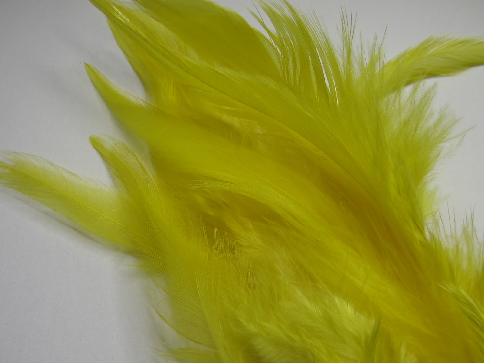 Fly Tying Videos: How to Tie Flies for Freshwater and Saltwater: How to ...