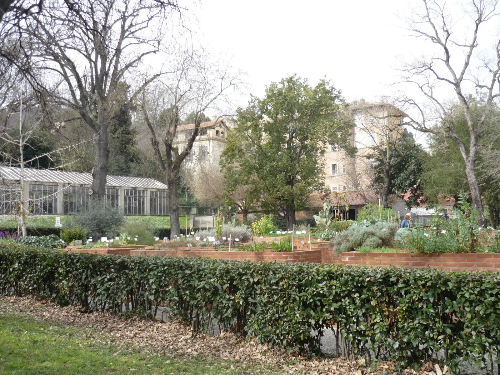 Le jardin botanique de Rome : souvenirs de février 2019