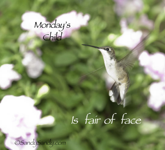 *Sketching Every Day*: Monday's Child Is Fair Of Face