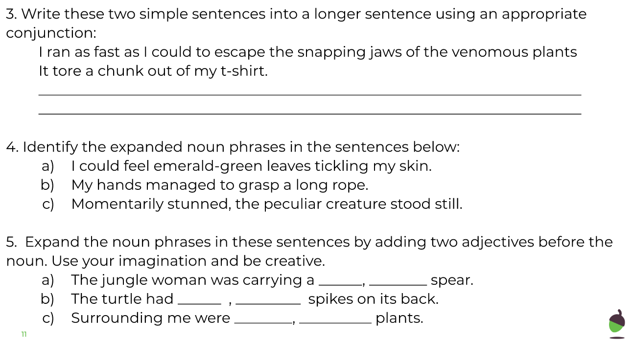 Year 4: English Challenge - Thursday 9th July (SPAG - Expanded nouns ...