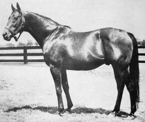 Phar Lap: Secretariat - jeden z mnoha a přesto jedinečný